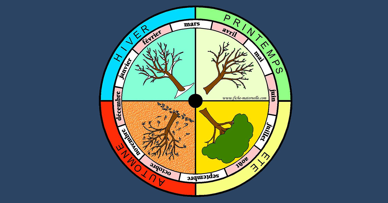 4 idées sur le thème : LA MÉTÉO ET LES SAISONS