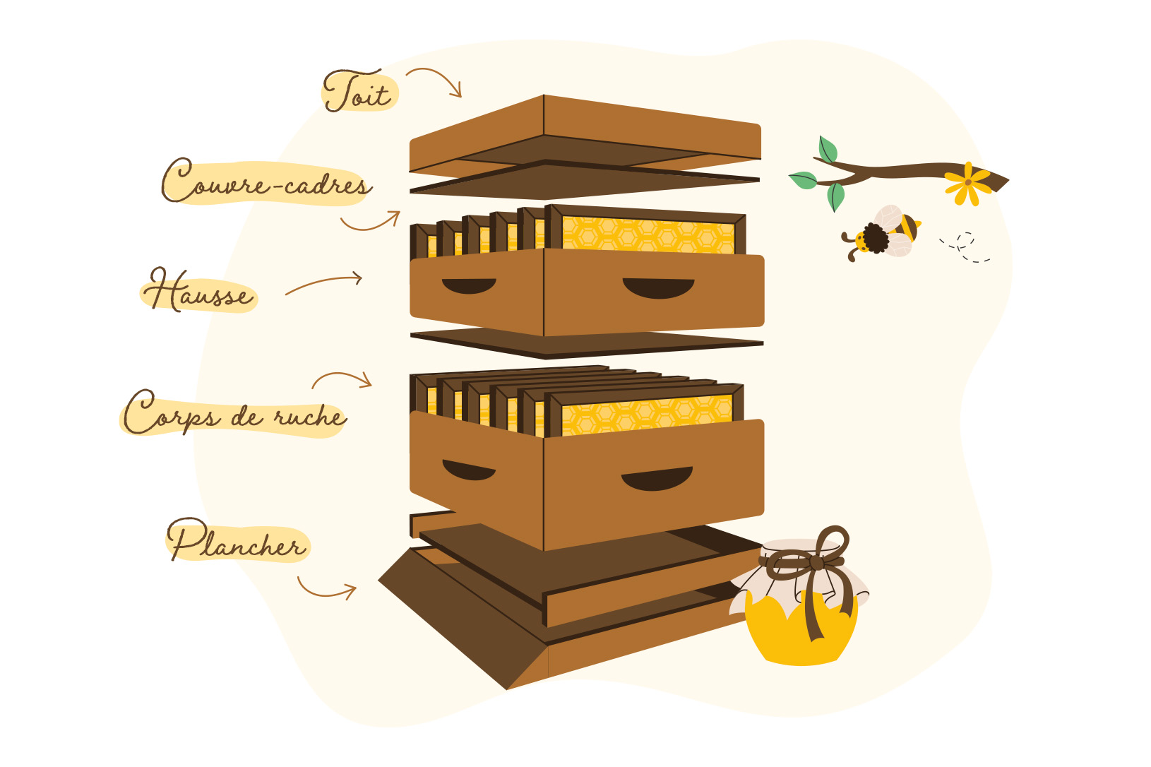 L'architecture de la ruche : une maison bien organisée - Le blog d ...